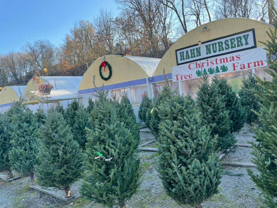 tree-farm – HAHN NURSERY Garden Center and Greenhouses